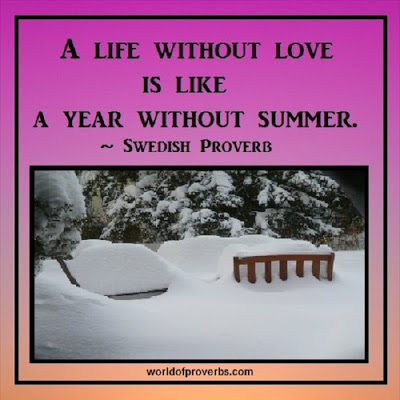 Swedish Winter Photo by Boz Donovan