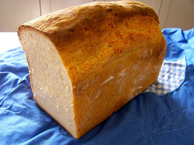 ivy nest: our daily bread