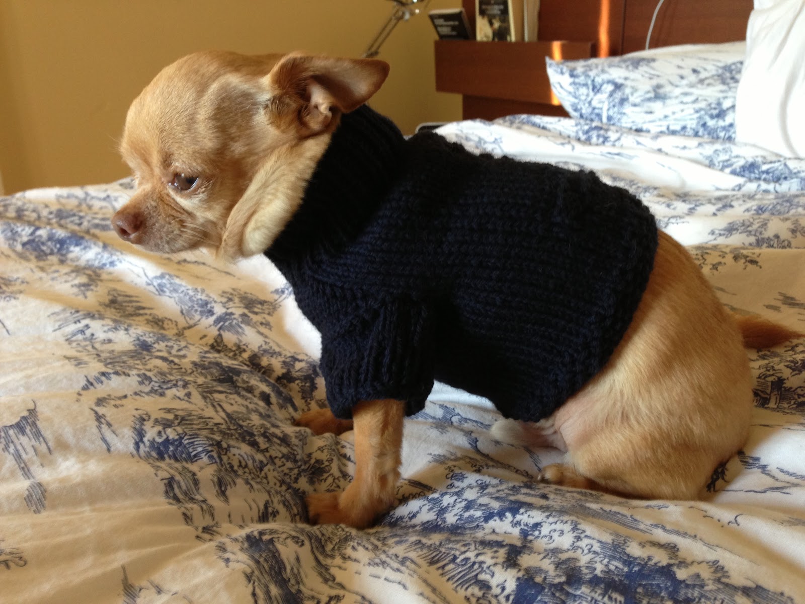 Taylor M. Polites: May Flowers