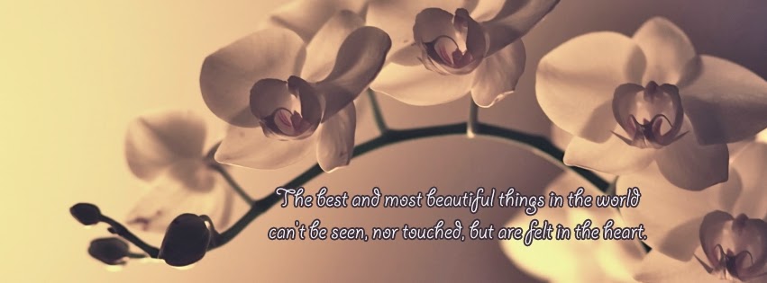 Zen Relaxation Backgrounds: Zen & Peace Facebook Cover Pics