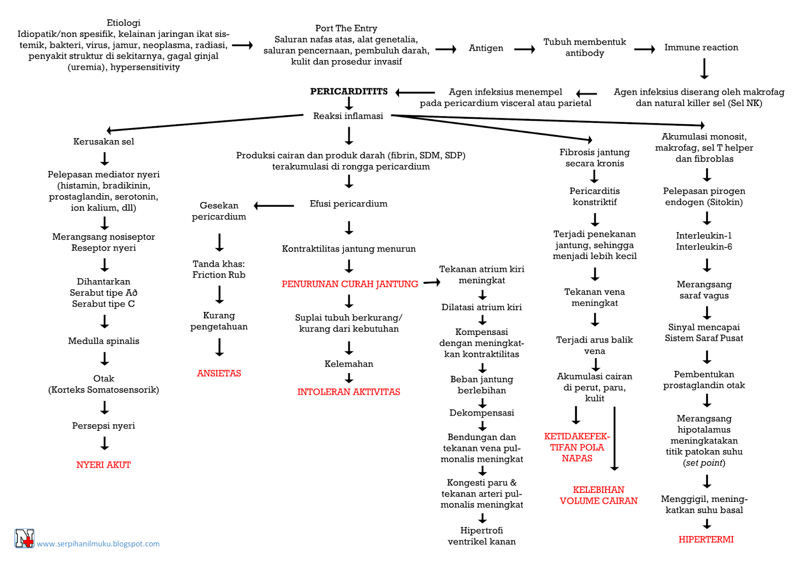 Pathway Pericarditis