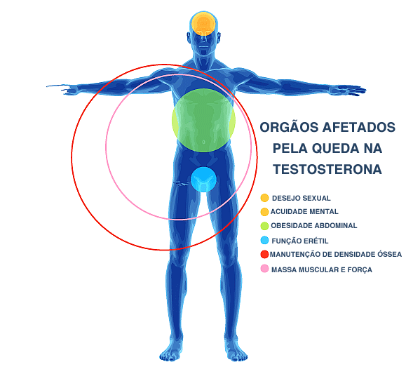 Testosterona! O hormônio masculino. ~ Web Clinica
