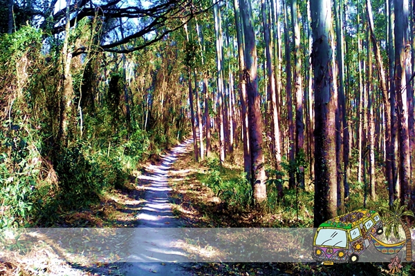 MORUNGABA | O Horizonte é Nosso!