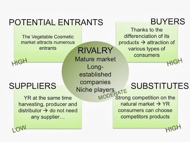 Porter's 5 Forces of Yves Rocher | Body Shop vs Yves Rocher