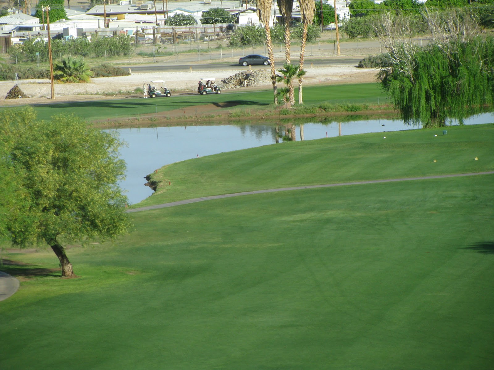 Thayer Update: Buckskin Mountain State Park AZ