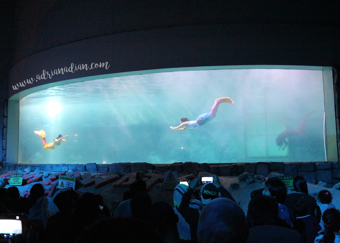 Liburan ke Ocean Dream Samudra Ancol Yuk!