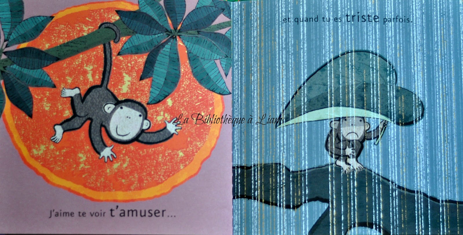 La Bibliothèque à Liam