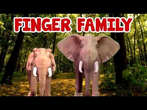 Animals Finger Family Cartoon Nursery Rhymes for Children | Super Hero ...
