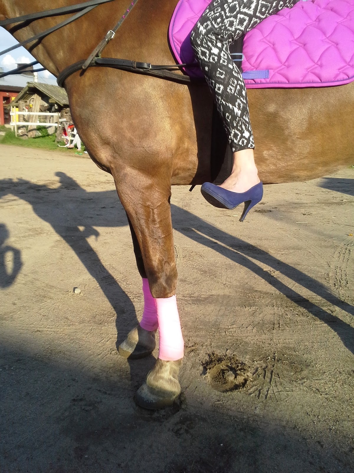 Luokki ja satula: Pissis ja Pimpula Pampula (Video)