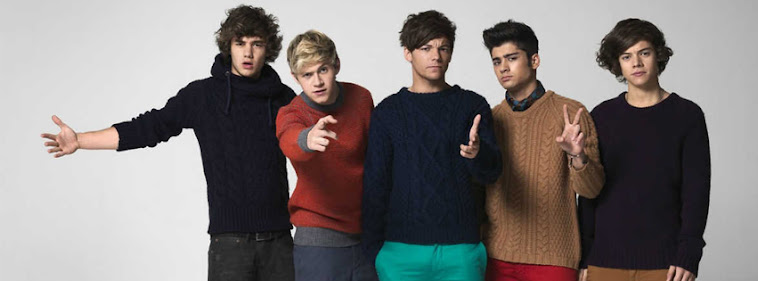 Novelas de One Direction y tú.: Conociendo a One Direction.