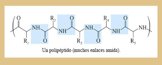 Química: 1. Proteínas