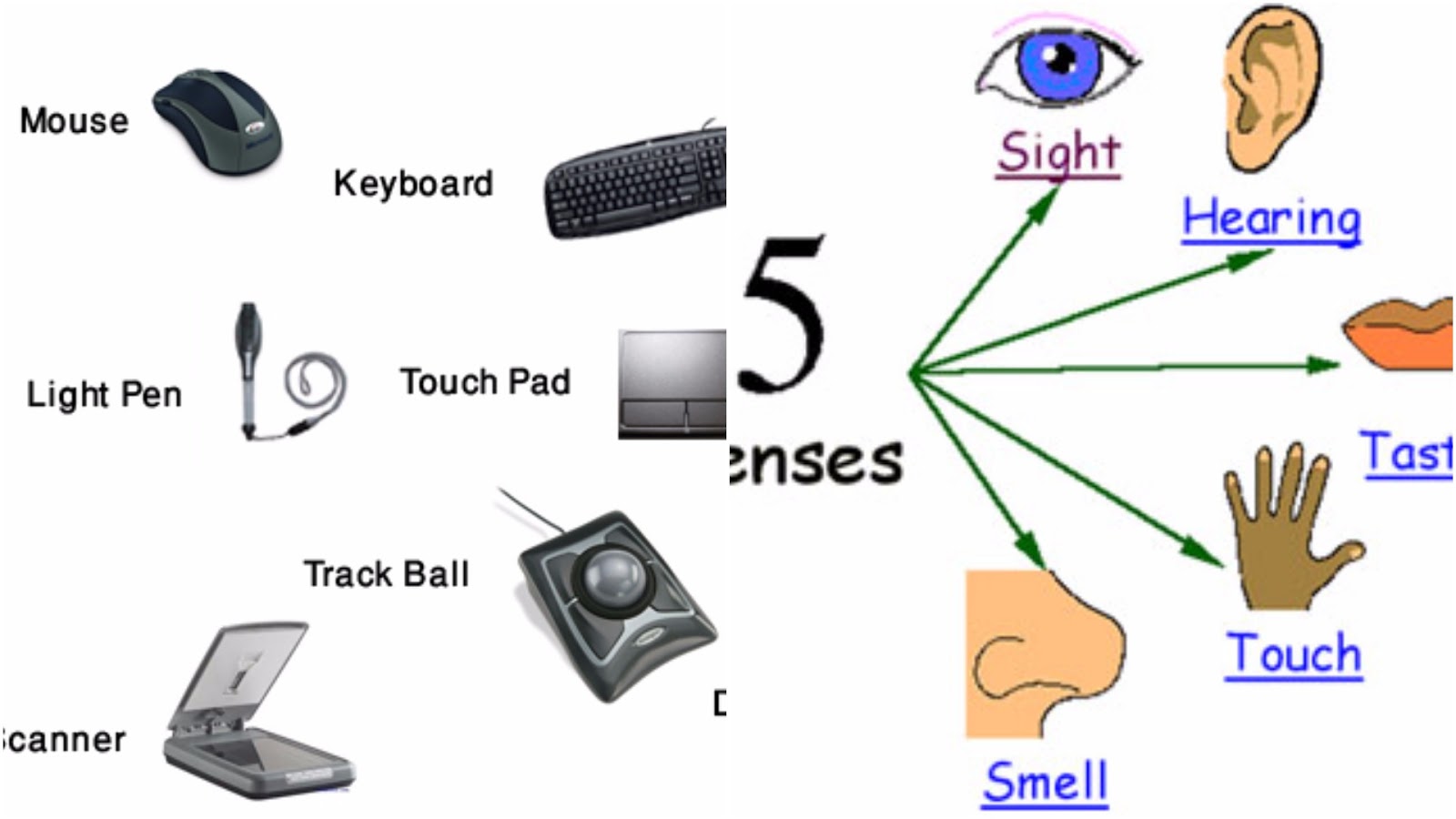 I LOVE MY COMPUTERSCIENCE