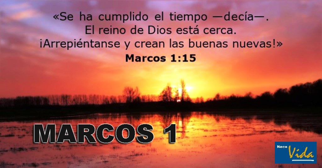 Neco Vida: Leyendo... Marcos capítulo 1