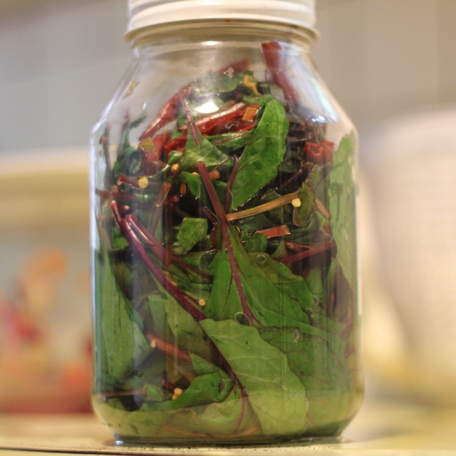 Grow, Knead, Pickle, & Sew: Pickled Young Cabbage Leaves Grow, Knead, Pickle, & Sew: Pickled Young Cabbage Leaves