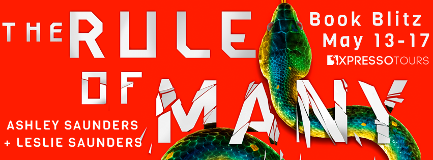 A Book Addict's Bookshelves : Book Blitz + Giveaway - The Rule of Many ...