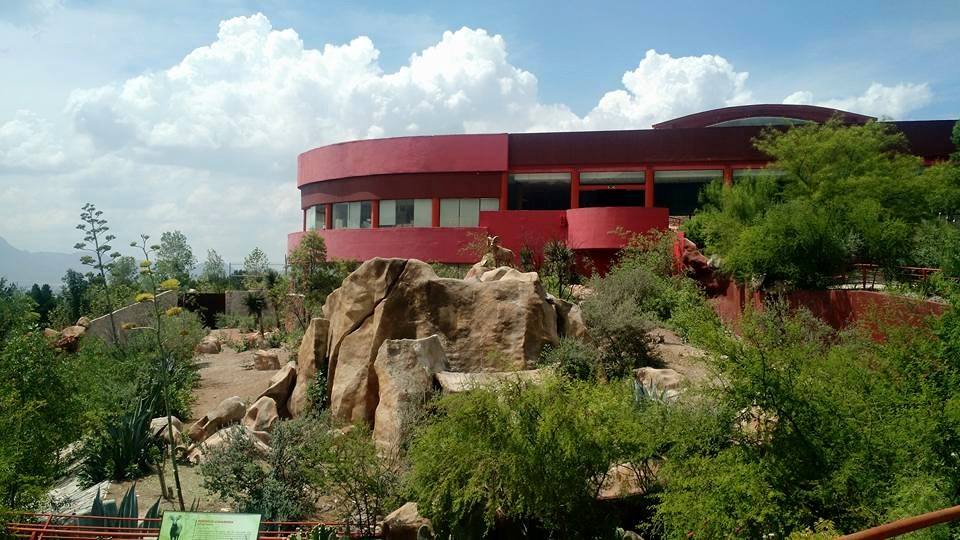 Conoce Saltillo: ¿ Cuantos carneros ves en esta foto