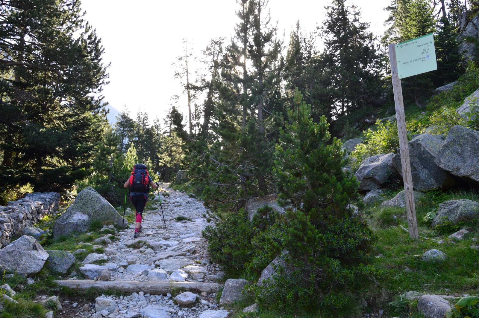 Refugi Estany Llong - Portarró d'Espot - Refugi d'Amitges - El BuscaRacons