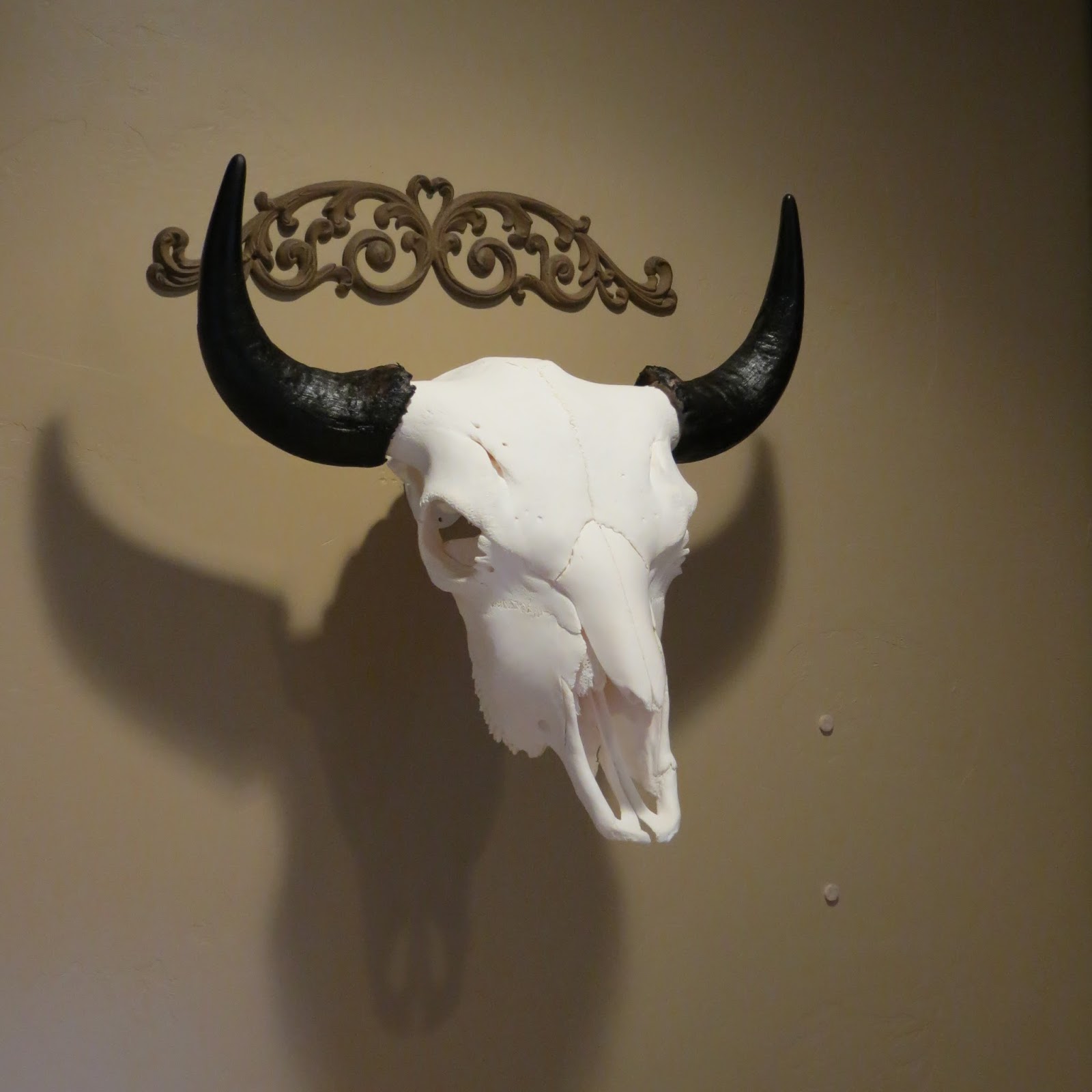 Marsh Taxidermy: Moose, Bison, Large Skulls