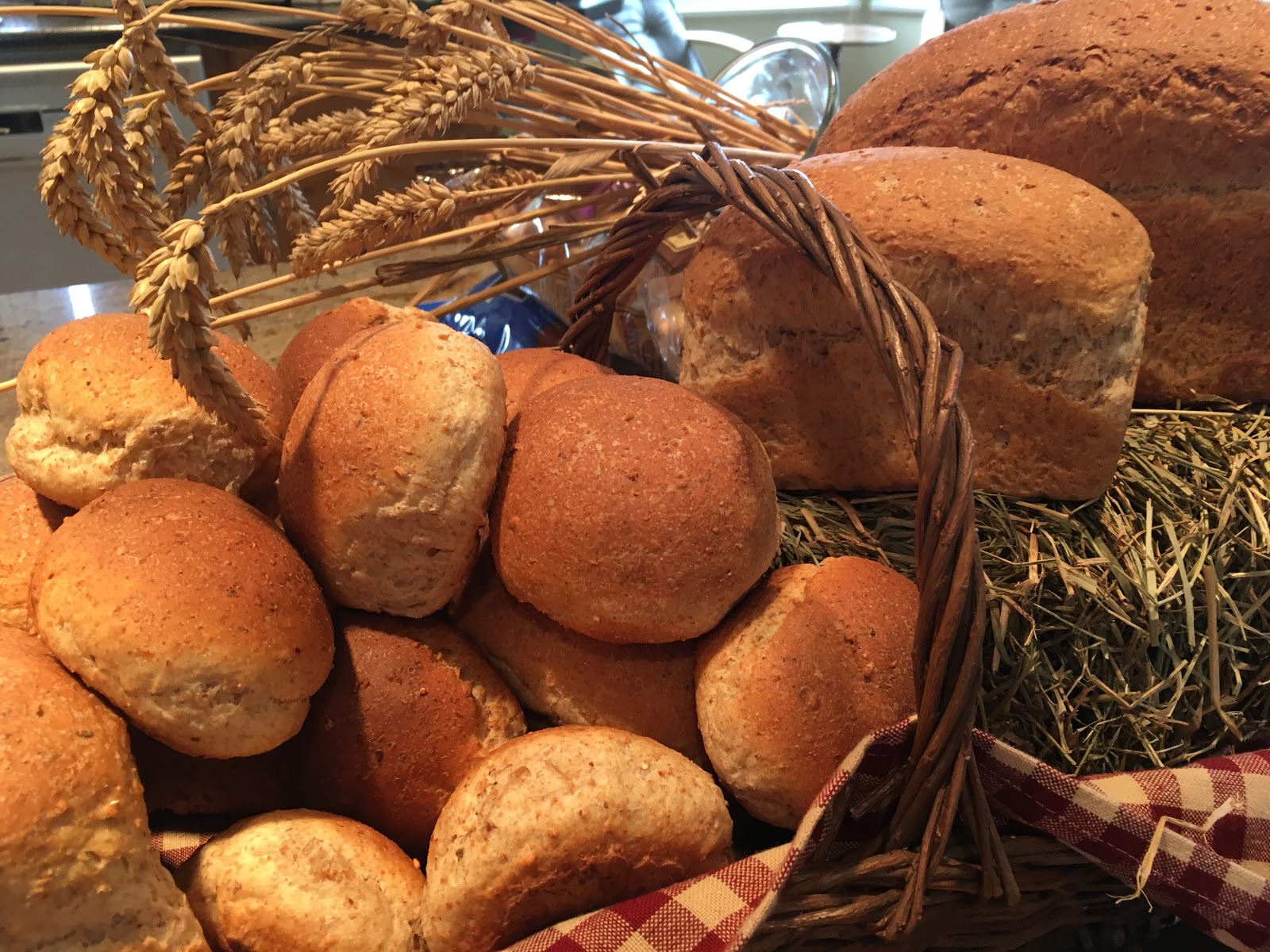 Mennonite Girls Can Cook: Bread for the Journey