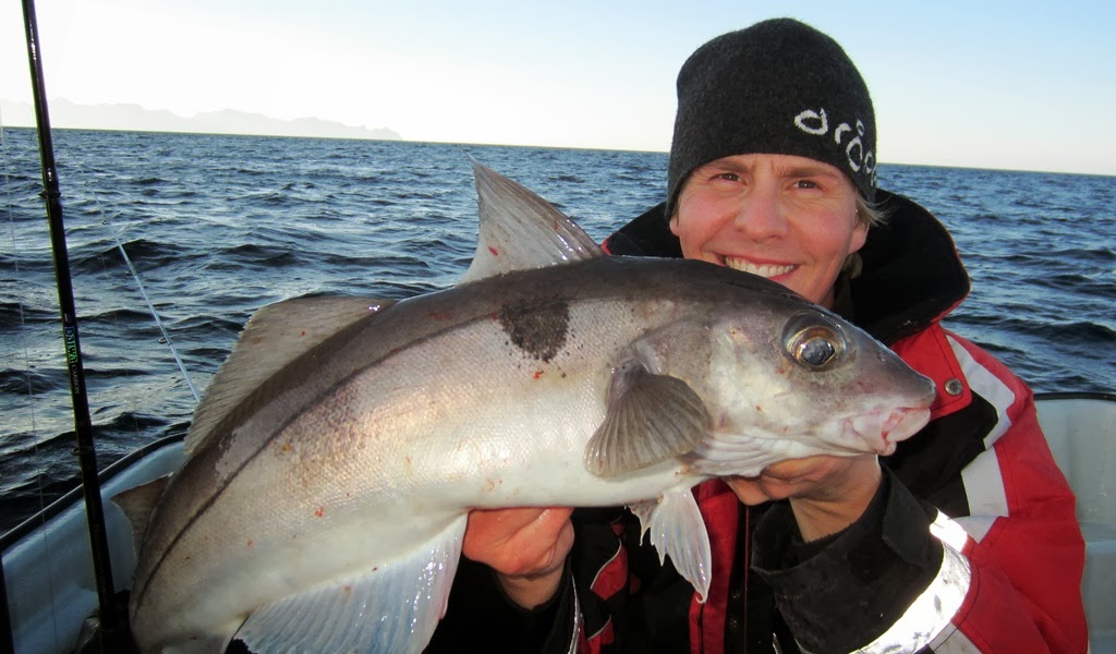 Obbiens Fiskeblogg: oktober 2013