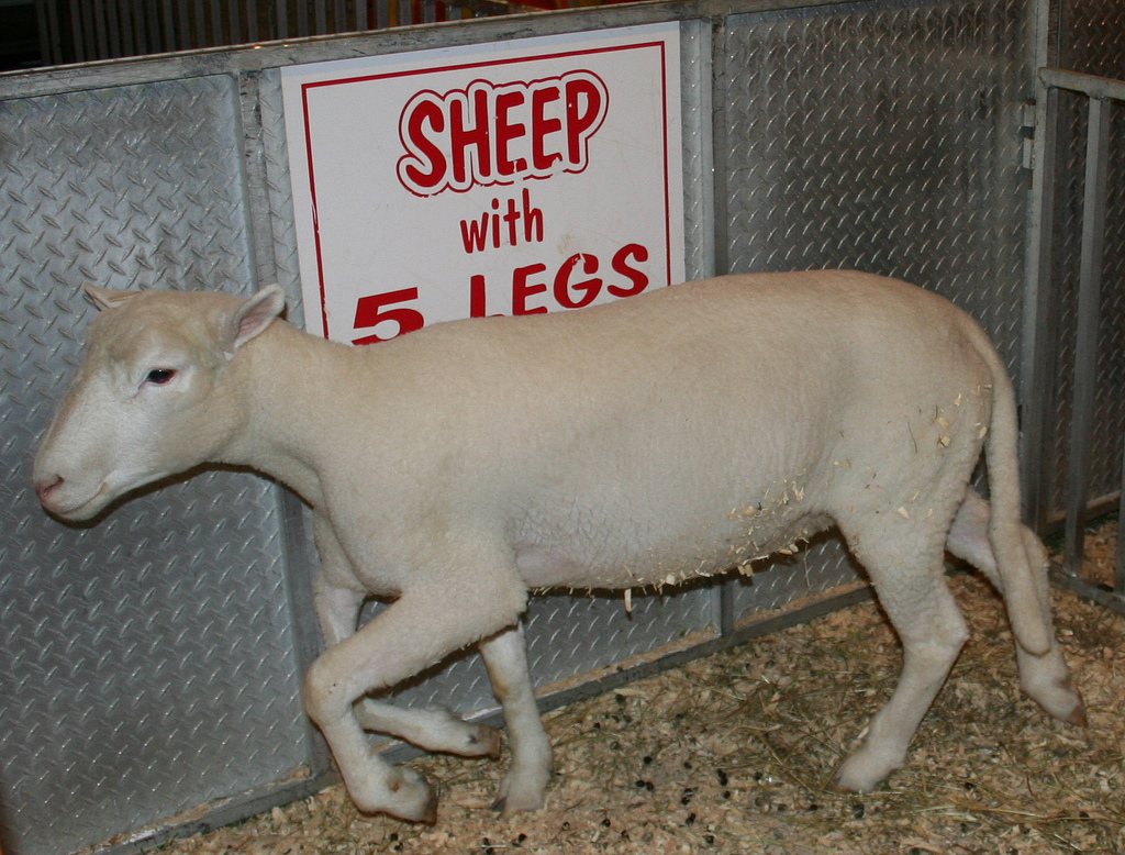 The Carpetbagger: The Modern Day Freak Show