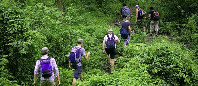Volcano Rainforest Hike | Volcano Tour
