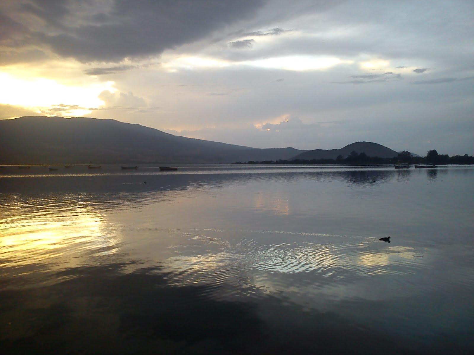 Diálogo con la realidad desde Ciencias Sociales: Laguna de Cajititlán ...