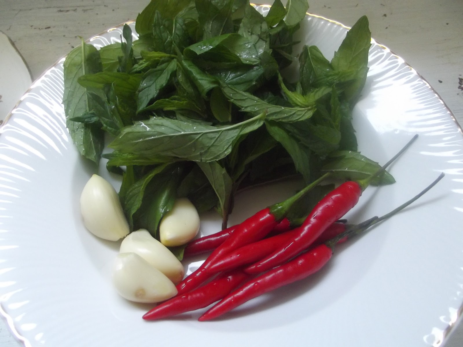 Fée-Maison avec Amour: SATINI COCO