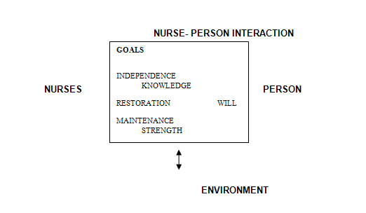 NURSING THEORIES ~ Nursing Page