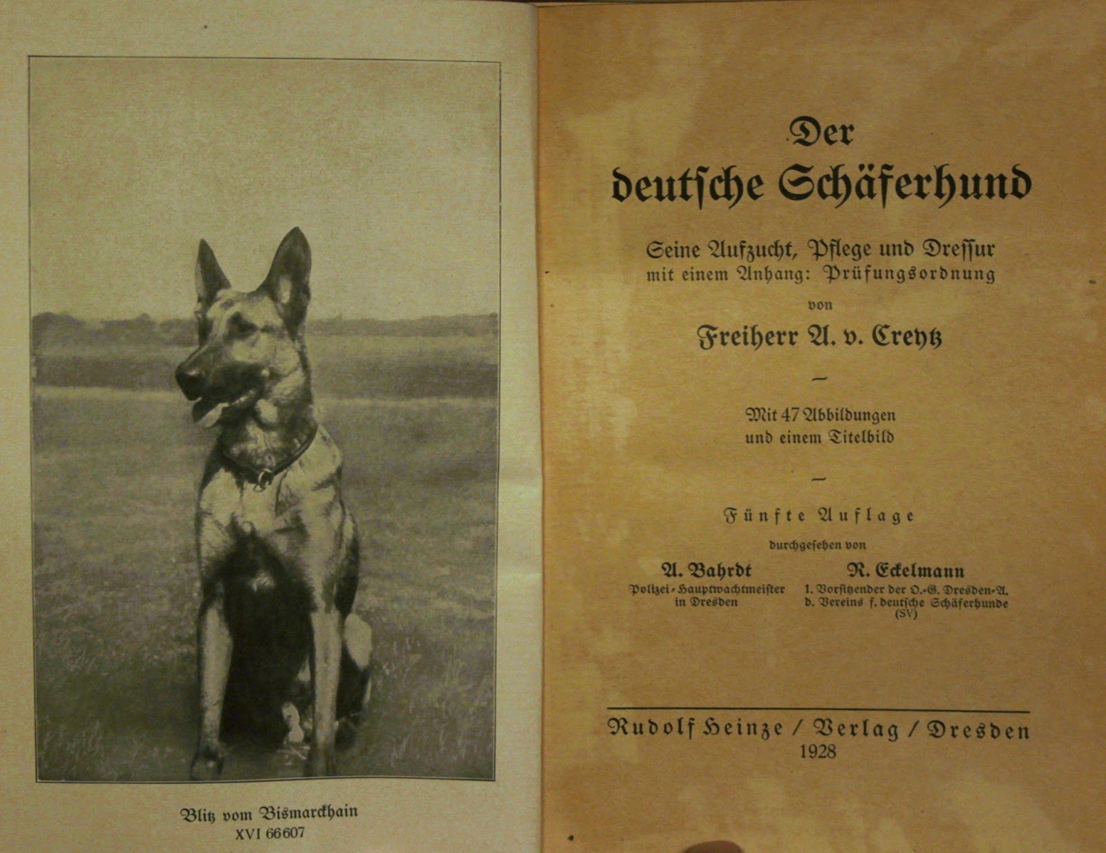 Teräsvillan pumit: 2016