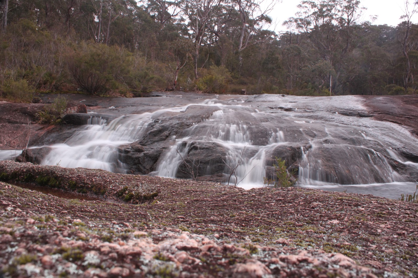its just my life: Basket Swamp National Park
