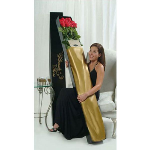 Blog Bash Is Here- Win 5-6 Foot Roses FromThe Ultimate Rose 6/26*CLOSED*