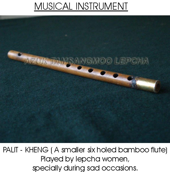 Aachuley . A Bilingual Journal illustrating the Lepcha way of life: The ...