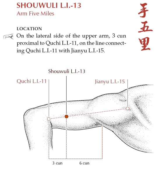 Acupuncture Masters: Acupuncture Points Database - Large Intestine channel