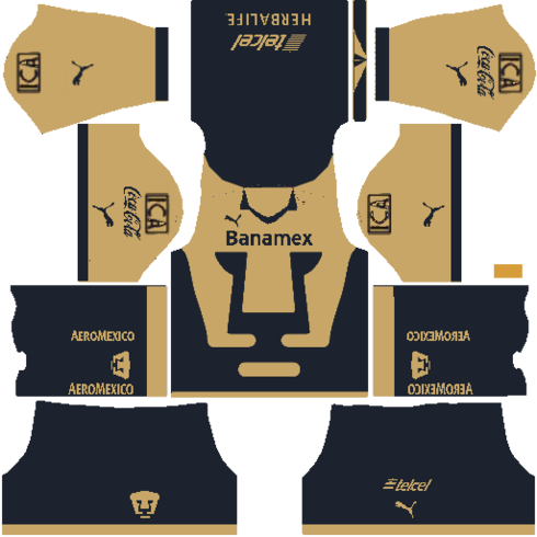 KITS FTS Y DLS: PUMAS HOME