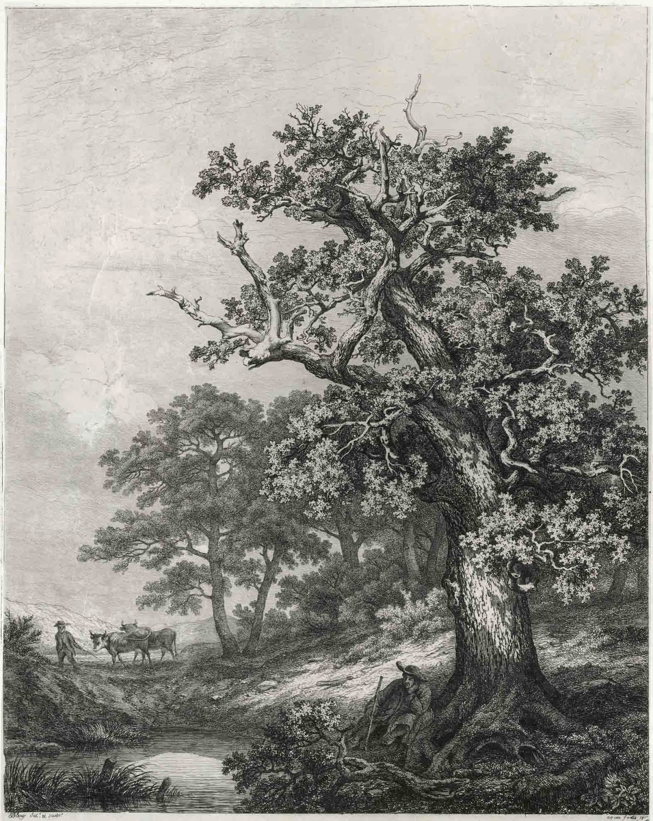 Prints and Principles: Trees as Metaphors (Part 3)