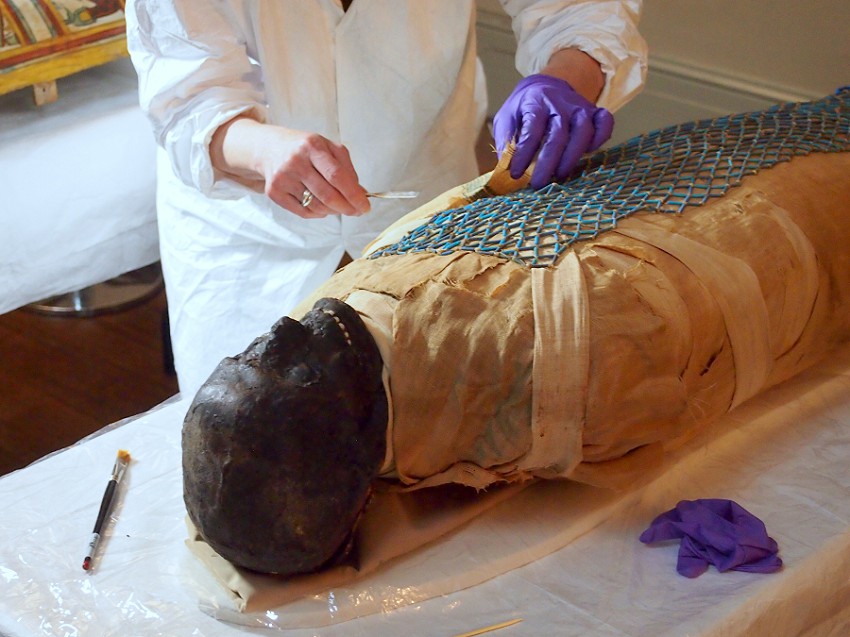 OTIS (Odd Things I've Seen): Facelift and a Body Wrap: Return to ...