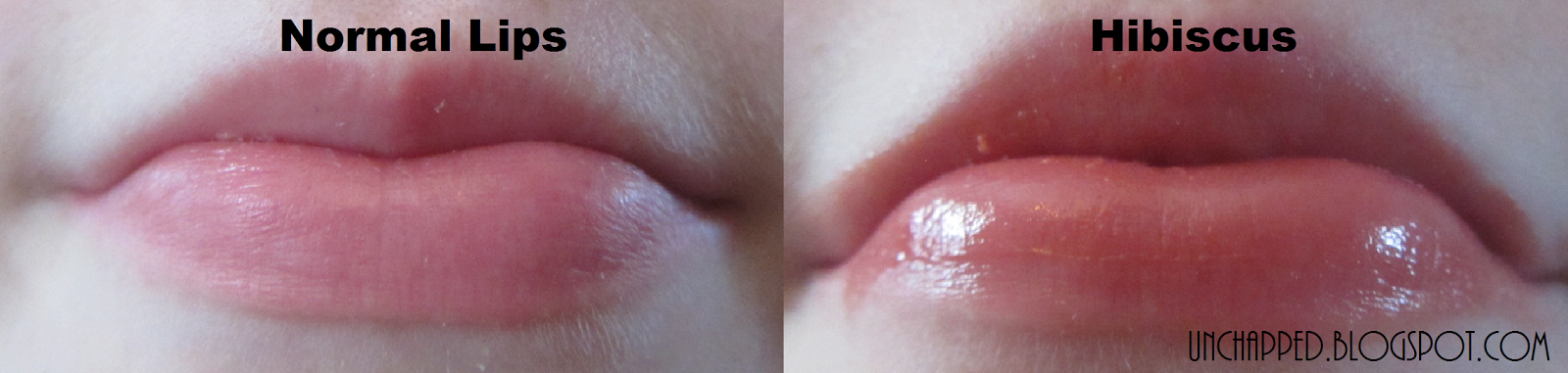 Unchapped- Lip Balm Reviews: Burt's Bees Tinted Lip Balm Review ...