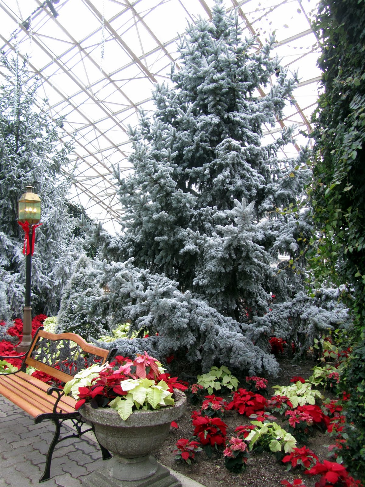 Islandscapes: Foellinger Freimann Botanical Conservatory