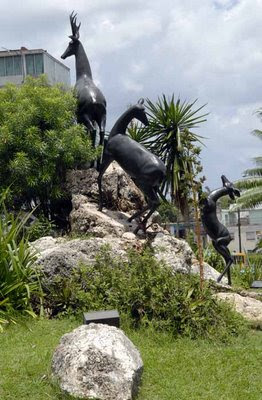 Petit Zoo. Experiencias de Cría en Zoo.: EL PRIMER ZOO.