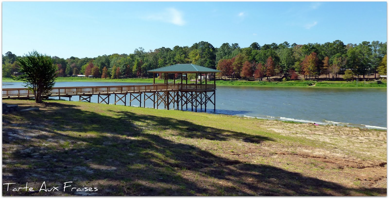Tarte Aux Fraises: Pendleton Bridge and Toledo Bend Lake