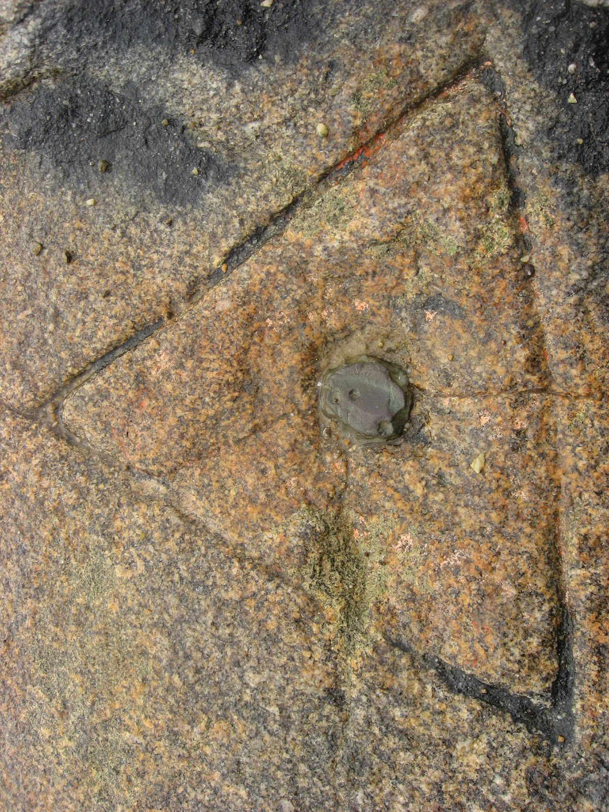 Mt. Wachusett - Summit Enhancement: 5/29/11 - Ground is broken ...