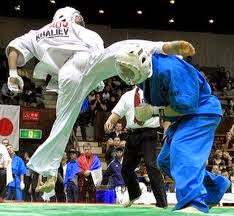 Karuchā Baruchā: Martial Art of the Month: Japan - Kudo