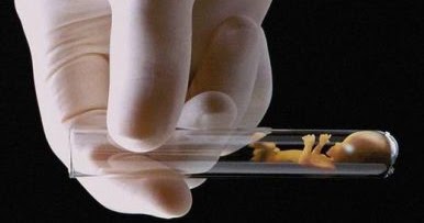 Bayi tabung | Pendidikan 60 Detik