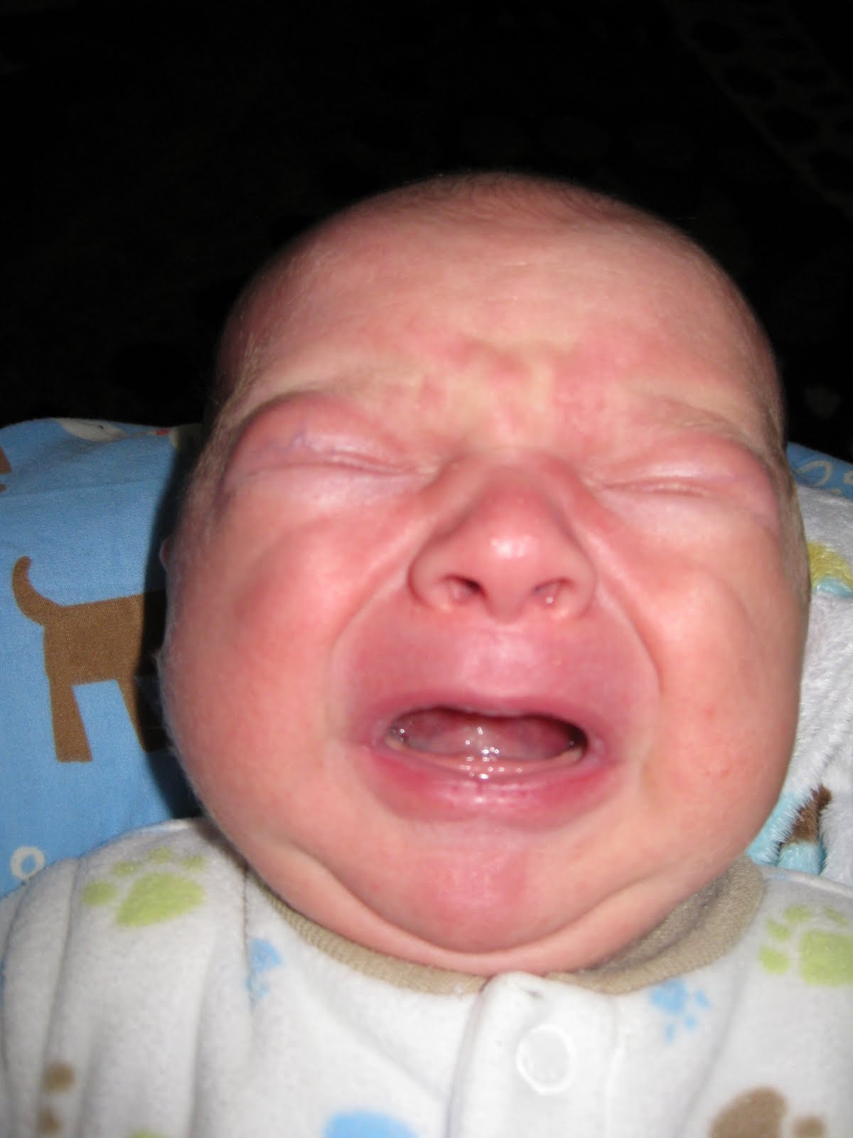 The Salm's: Happy Baby & Angry Baby