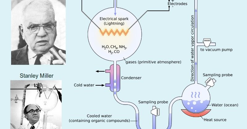 CIENCIA Y TECNOLOGÍA EN NOVENO: EXPERIMENTOS DE STANLEY MILLER Y HAROLD ...