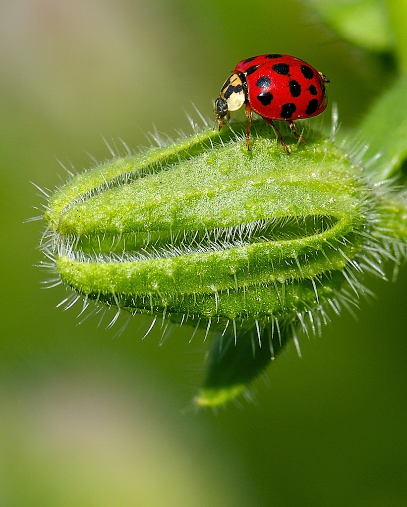 School Of Digital Photography: How To Take Sharp Pictures