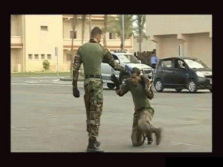 Papo Besteirol: GIF'S PARA ANIMAR SUA SEGUNDA FEIRA!!