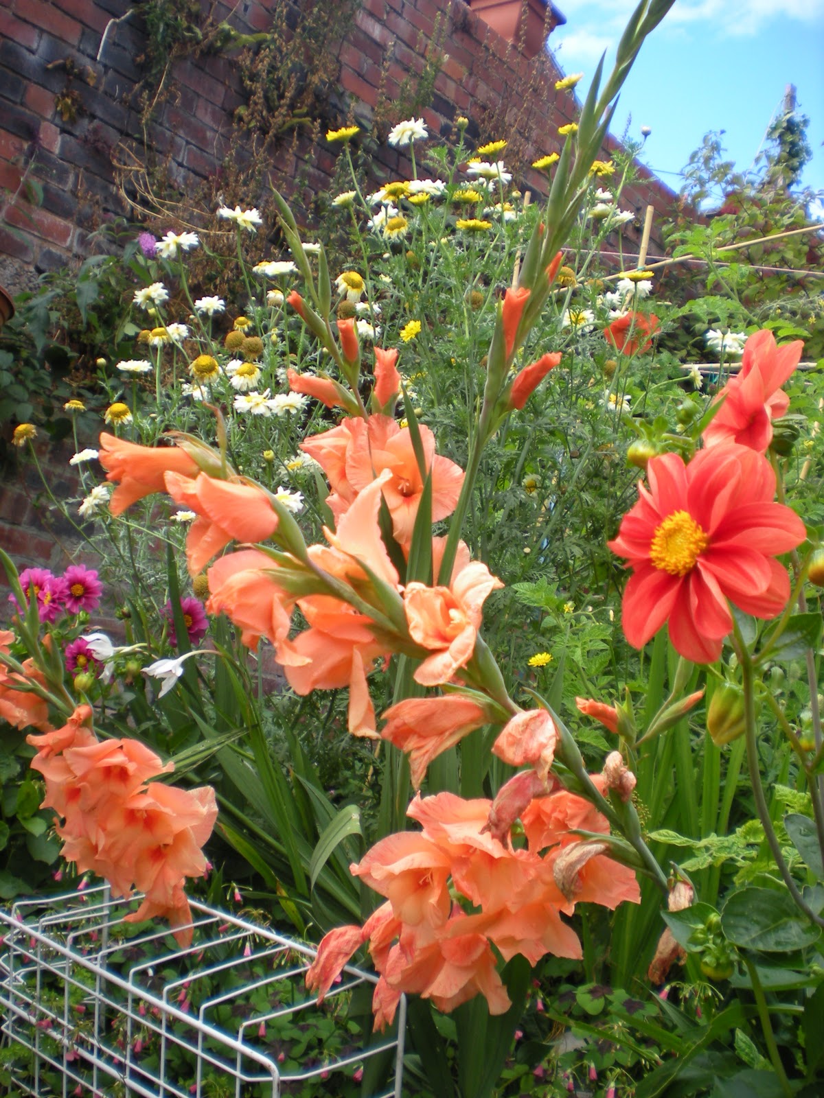 memori di bumi Eropah: aktiviti musim bunga...2011...di UK