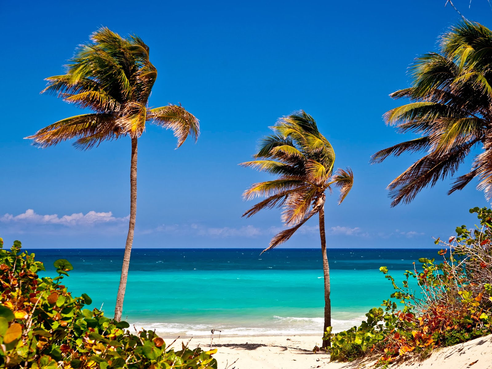 some wallpaper of cuba | Best Wallpaper Views